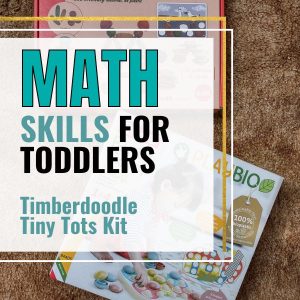 Math-U-See Gamma Review || Timberdoodle 3rd Grade Math
