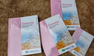 Math-U-See Gamma Review || Timberdoodle 3rd Grade Math